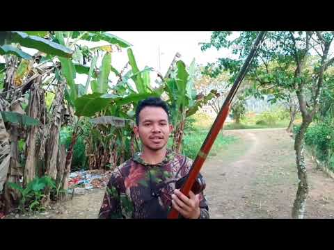 SERAAM!!! TES LEDAKAN SENAPAN LANTAK RAKITAN SUKU DAYAK KALIMANTAN