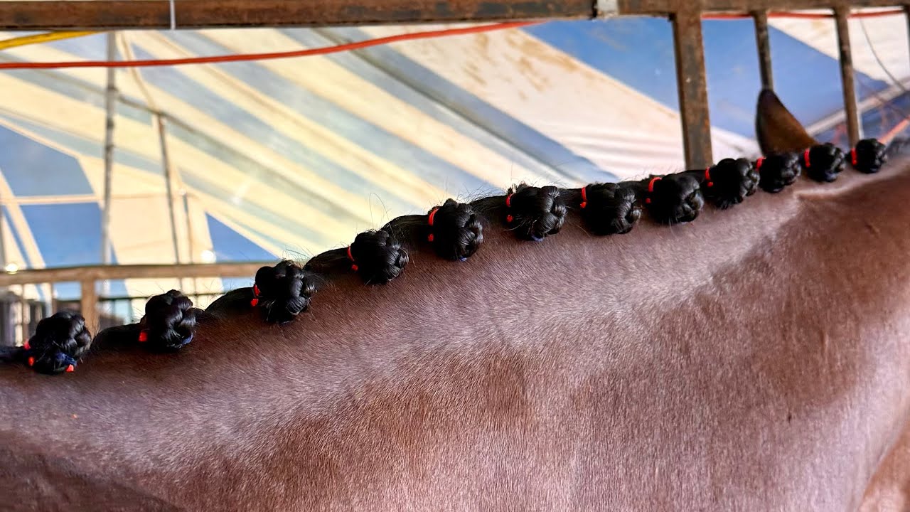 How to: Button Braids with Yarn - YouTube