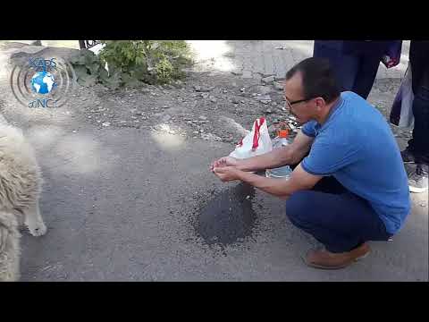 Kars'ta Vatandaş Susayan Köpeğe Elleri İle Su İçirdi