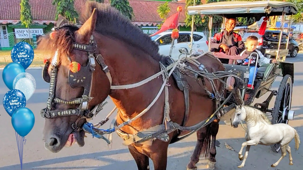 Naik Delman Lagu Indonesia - Kuda / Naik Kuda Dokar Alun Alun Banyumas ...