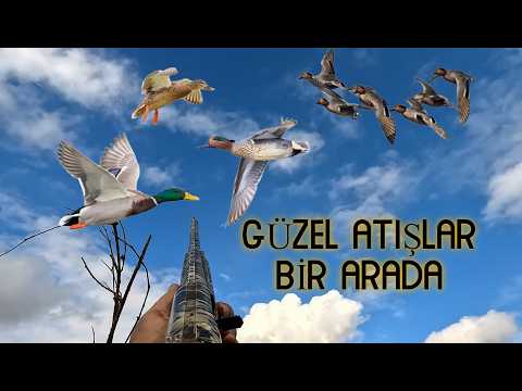 ÖRDEK AVI SEZONDA Kİ GÜZEL ATIŞLAR, STOEGER M3000, DUCK HUNTİNG