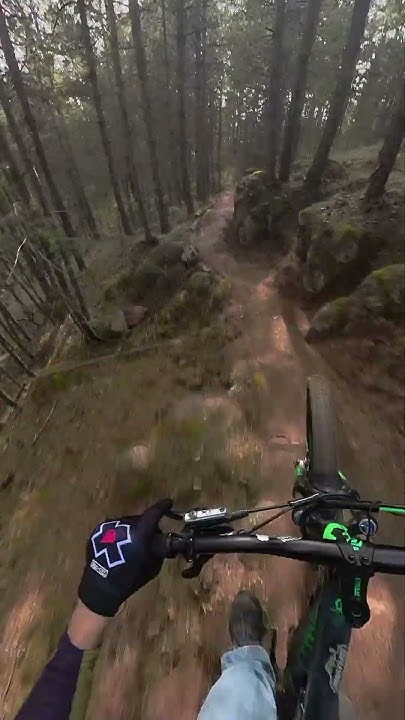 Старата Кора Mtb Downhill Подгумер Youtube