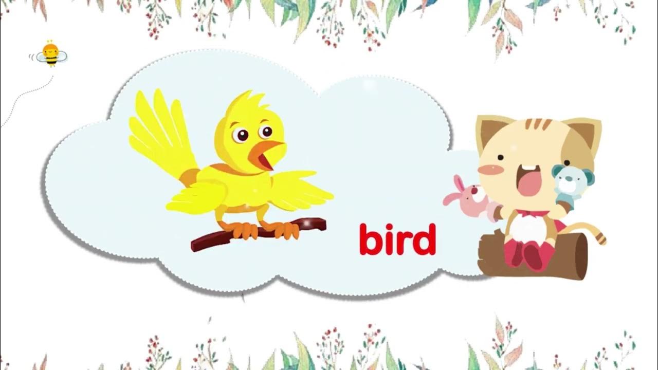 Smart STart 1- UNit 5: lesson 1 - YouTube