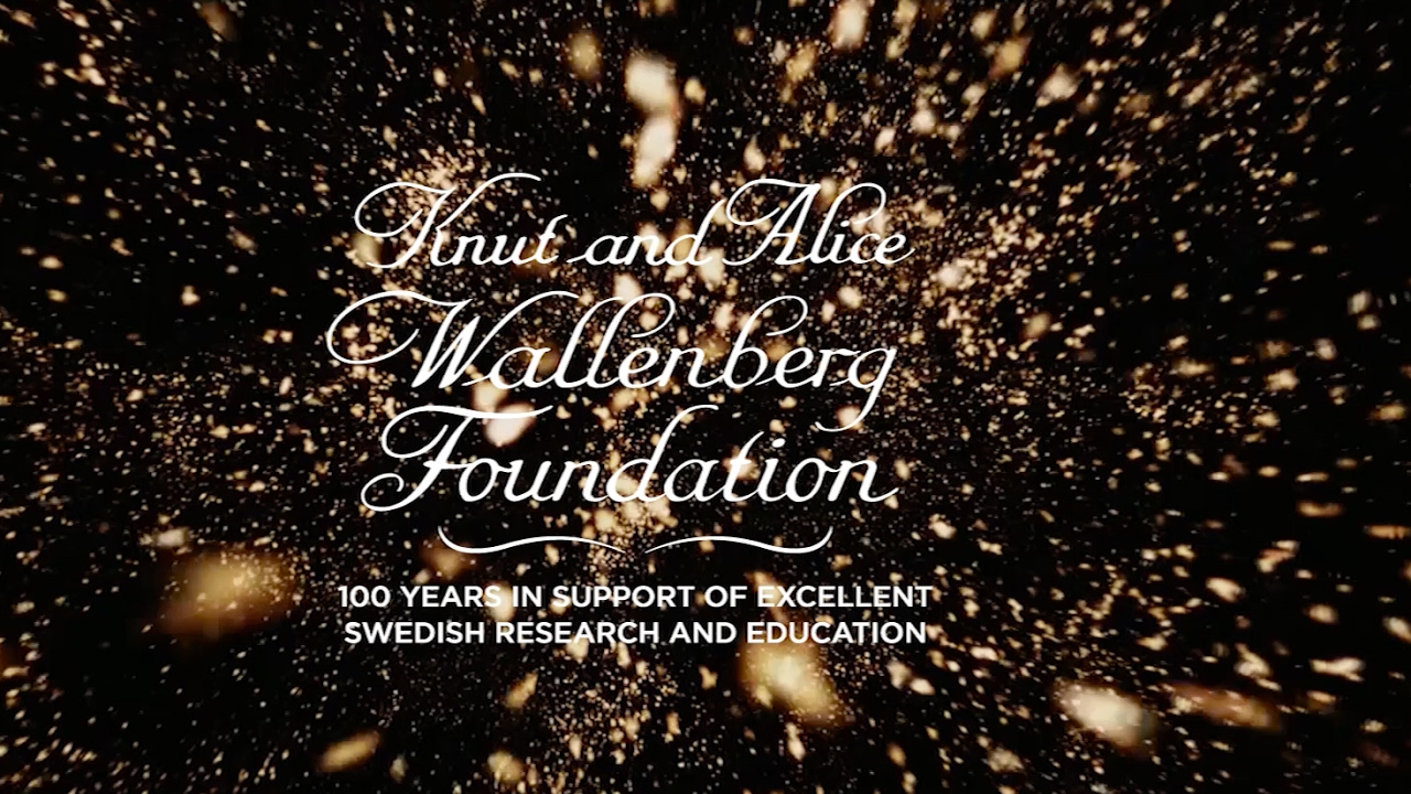 Knut and Alice Wallenberg Foundation 100 years - YouTube