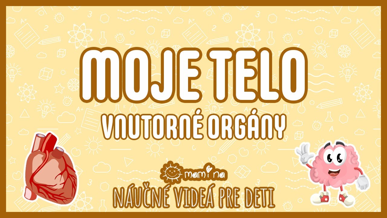 Moje telo - vnútorné orgány | maminask :) - YouTube