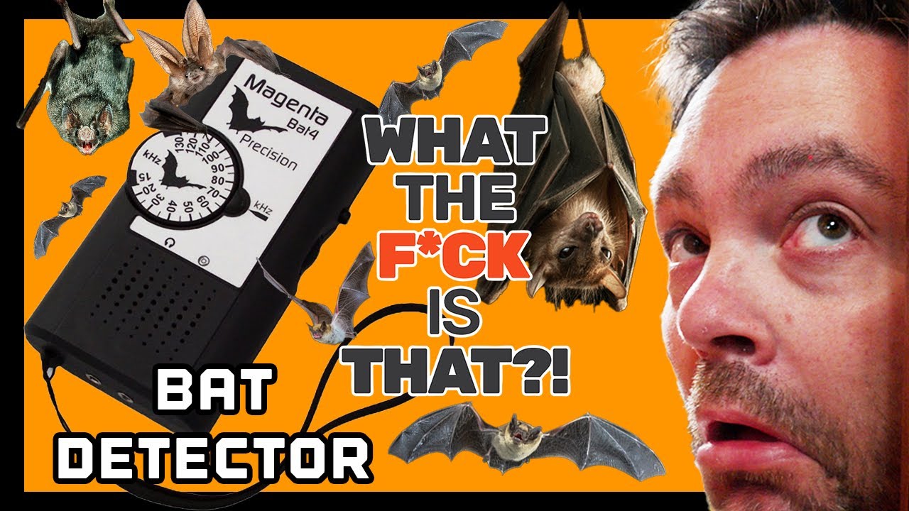Bat Detector | WTF is That?! - YouTube