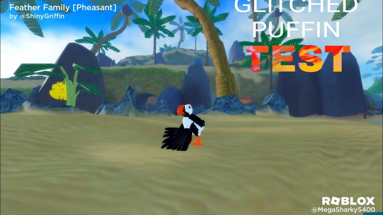 Glitched Puffin Testing|Feather Family|Roblox - YouTube