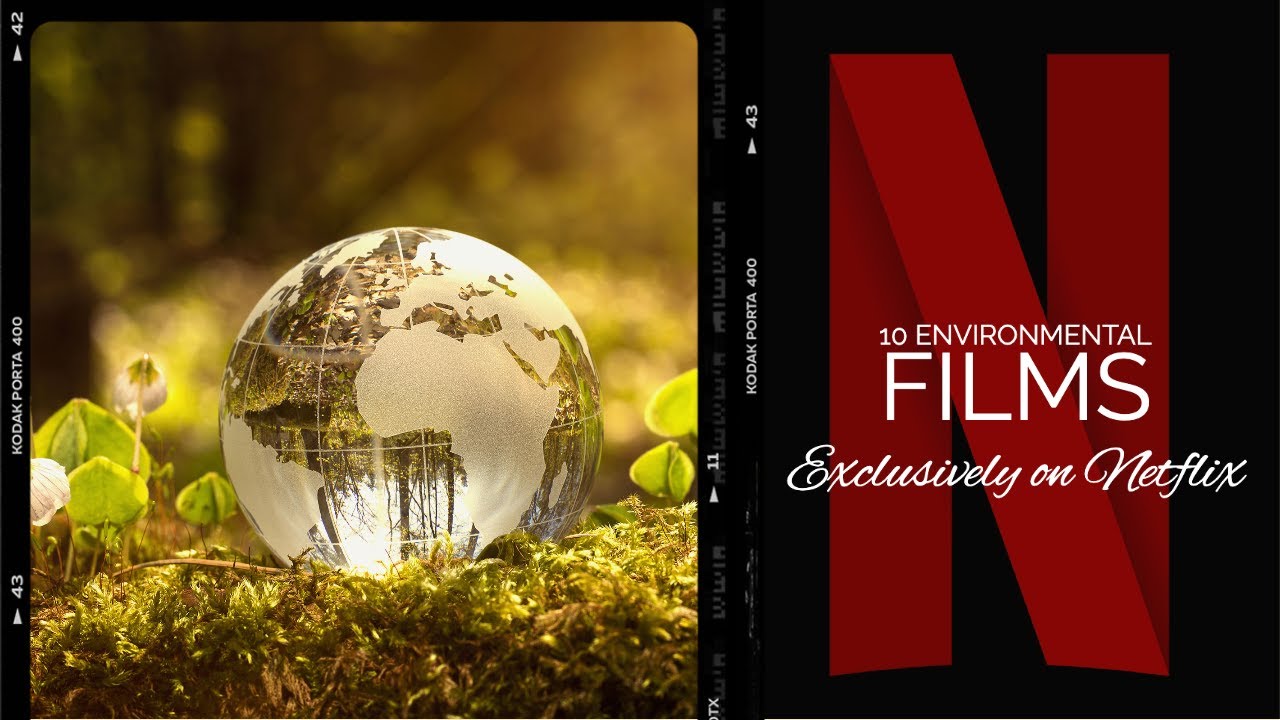 10 Environmental Films Exclusively on Netflix - YouTube