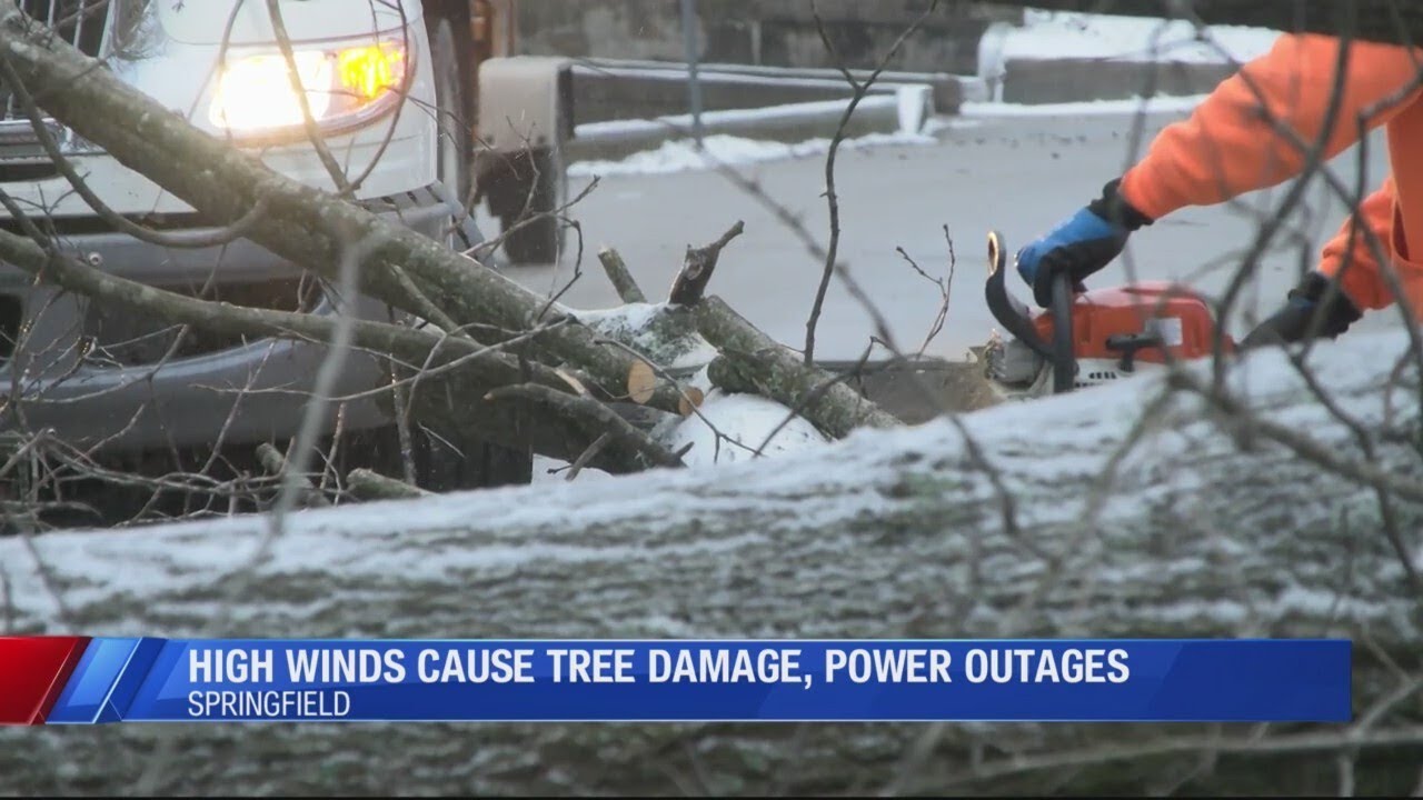 High winds cause tree damage, power outages - YouTube
