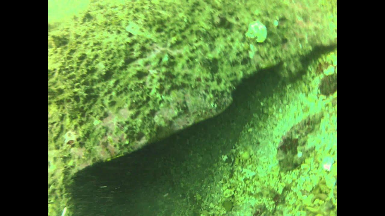 Trying out a New Ocean Rhino RX5 - YouTube