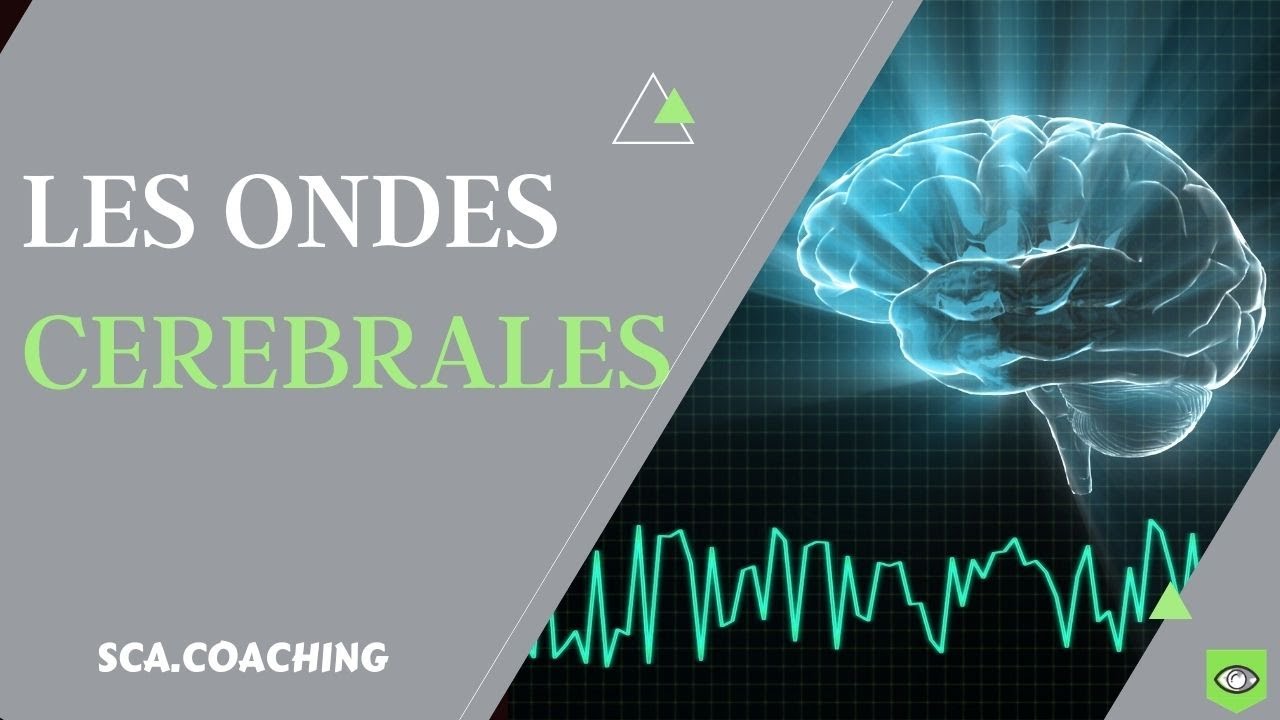les 5 types d'ondes cérébrales - YouTube