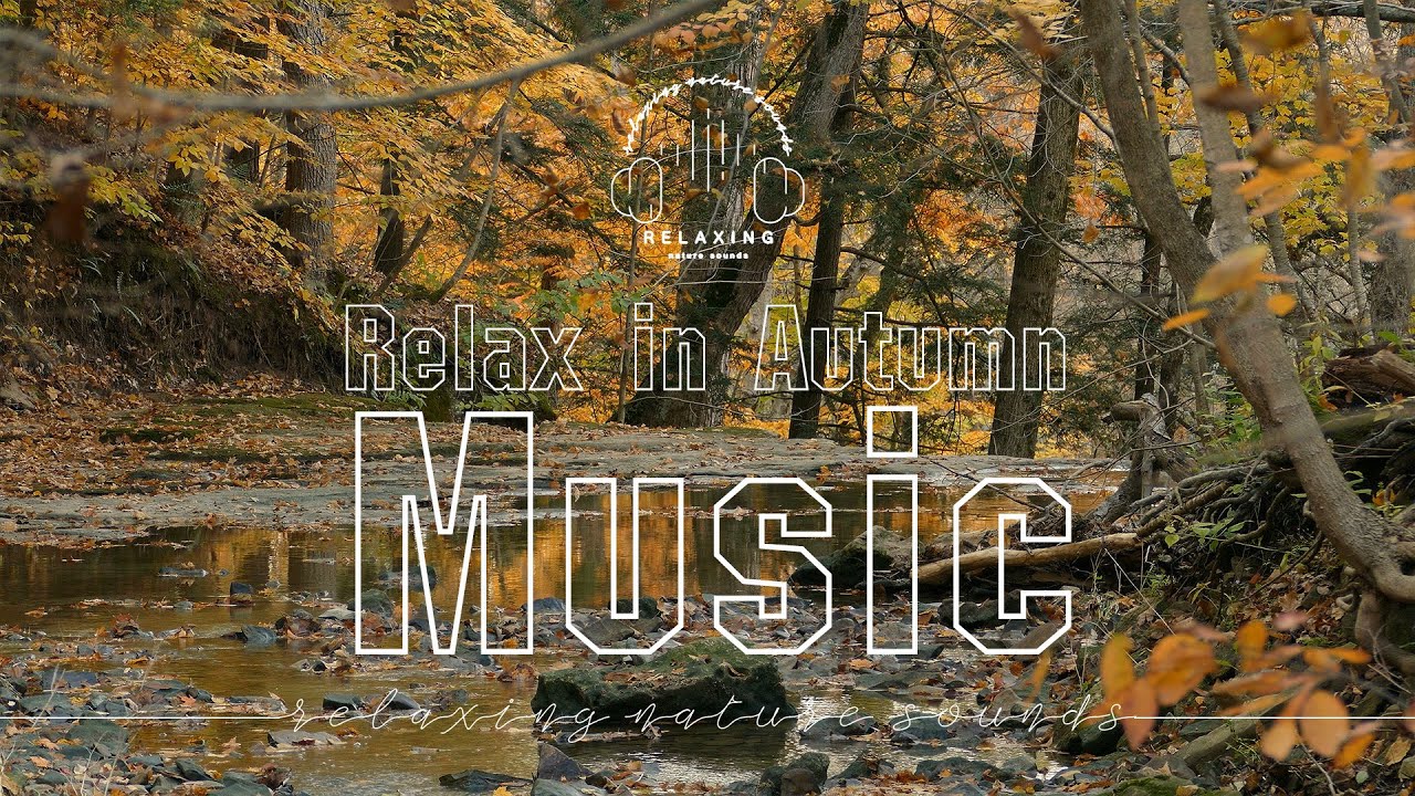 Relax in Autumn Music for Sleeping Relaxing Mindfulness Meditation ...