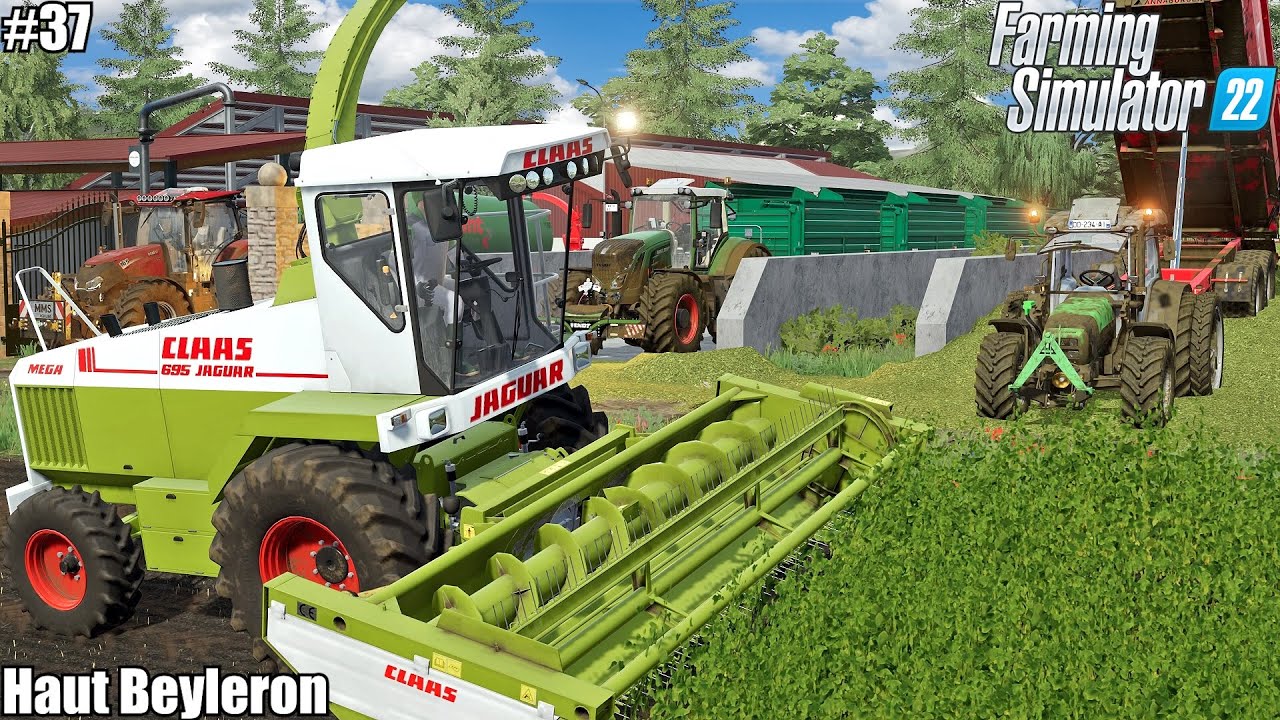 SOYBEAN SILAGE, SELLING SILAGE, SLURRY & MANURE, FEEDING ANIMALS│Haut ...