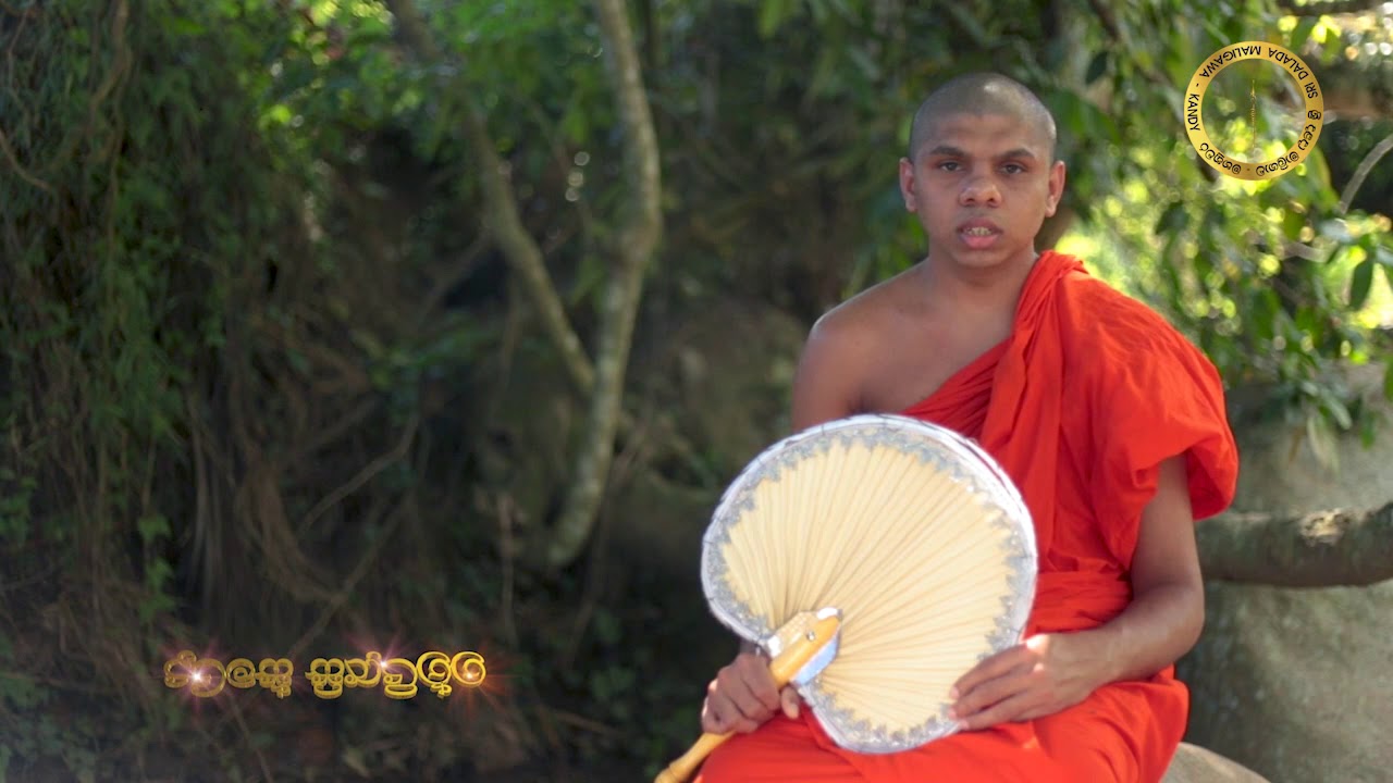 Dawase Sithuwilla | දව‍ස‍ේ සිතුවිල්ල | 2019-05-25 - YouTube