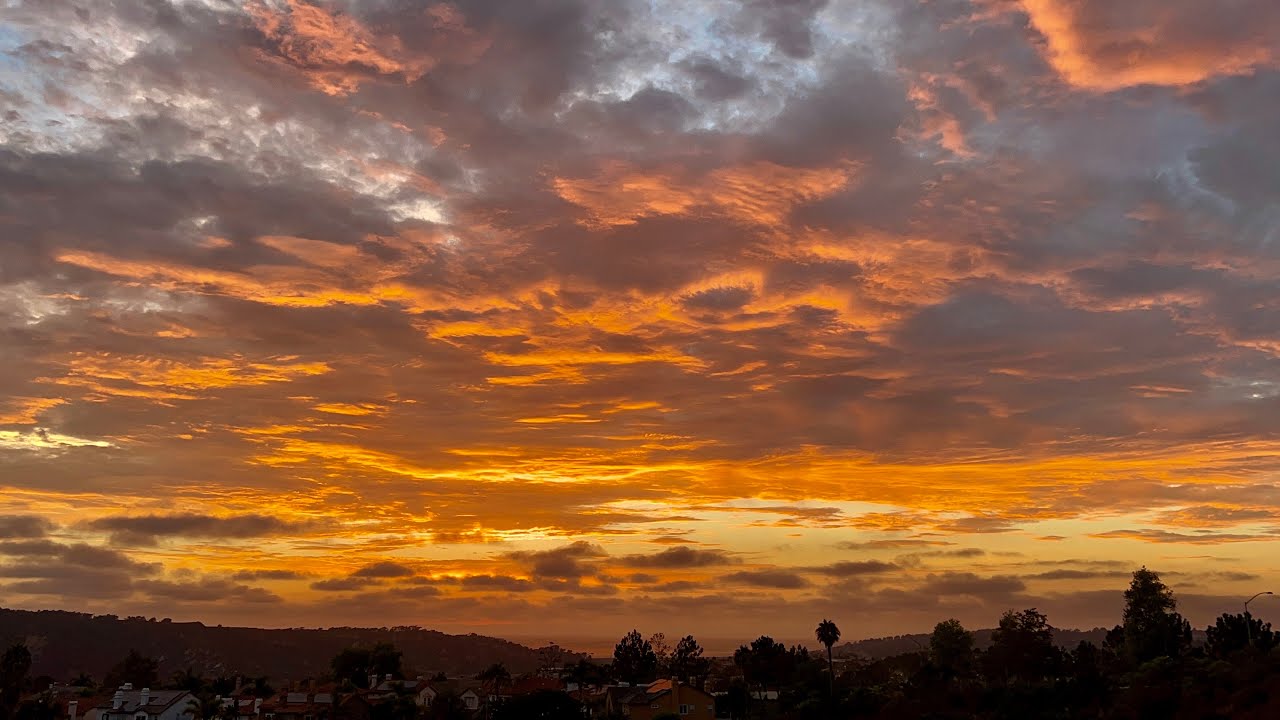 Hummingbird Sunset - YouTube