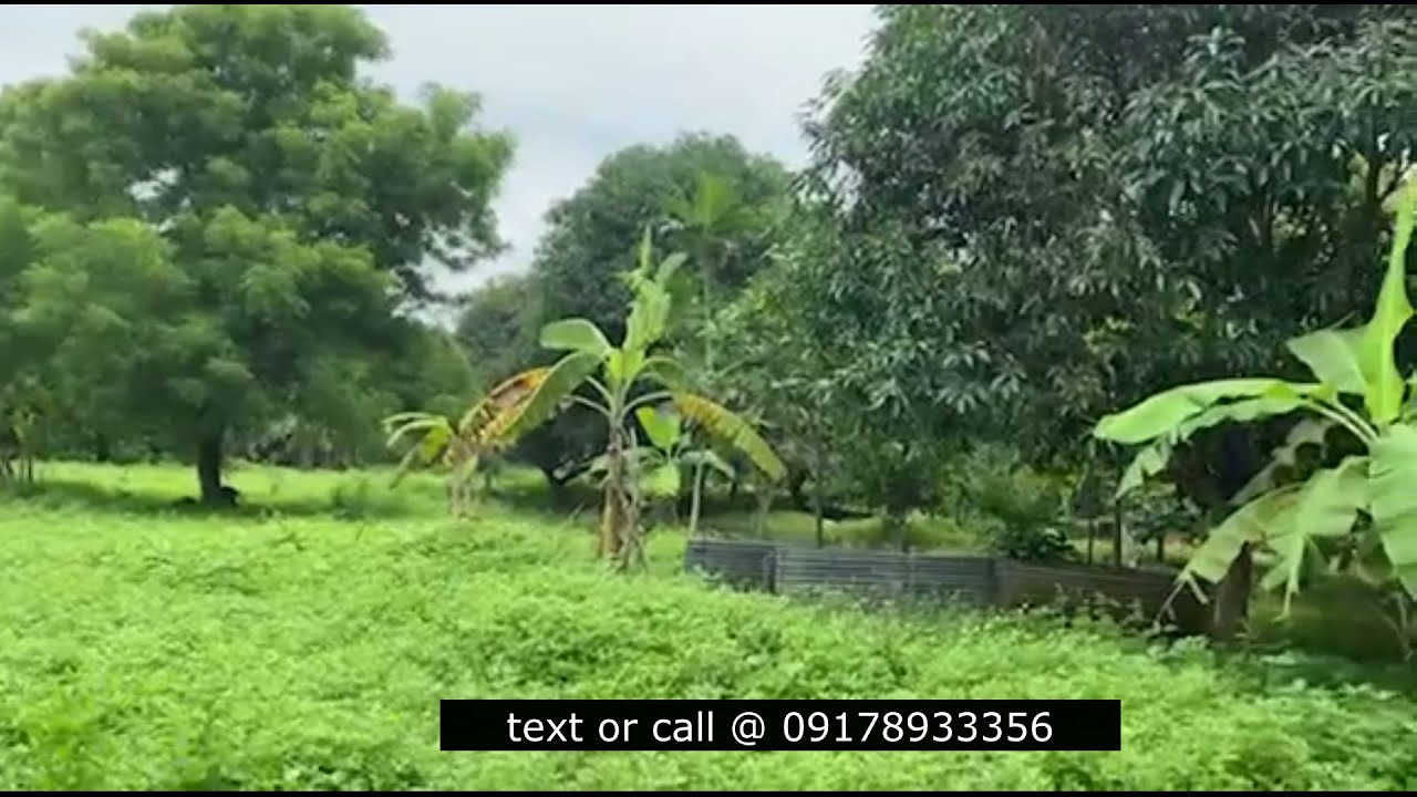Baras Rizal Mini Farm - YouTube