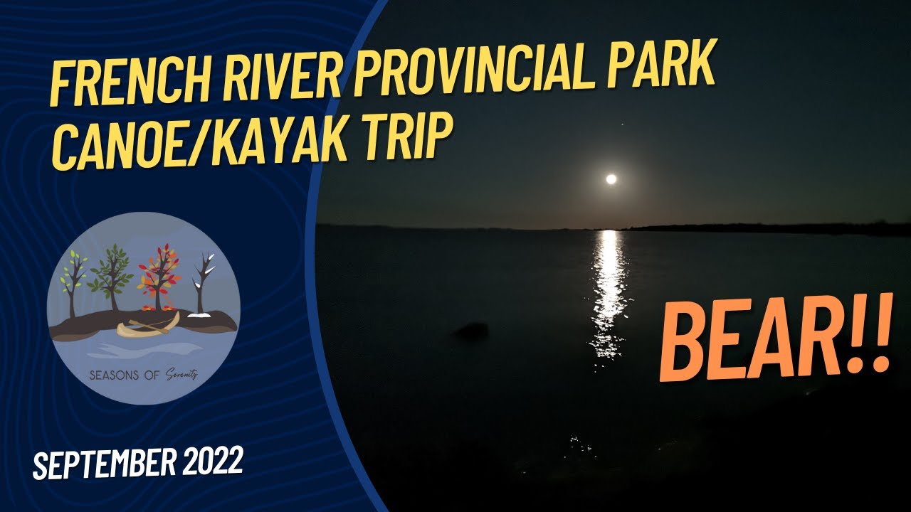French River 2022 - Canoe/Kayak Trip - BEAR! - YouTube