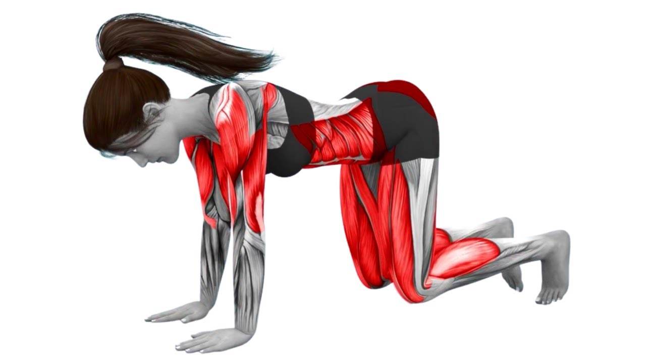 TRANSFORM Your BODY With This EASY WEIGHT LOSS Workout - YouTube