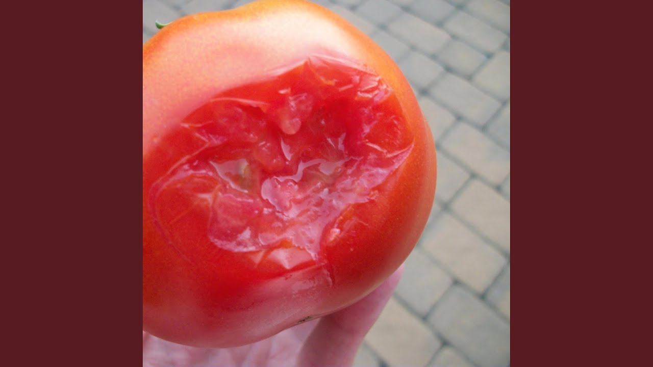 Funky Tomato - YouTube