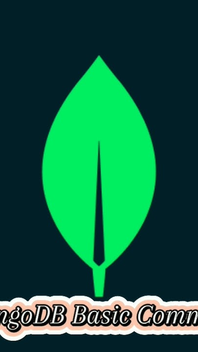 Mongodb Basic Commands Mongodb Foryou Mongodb Programming Webdevelopment Youtube