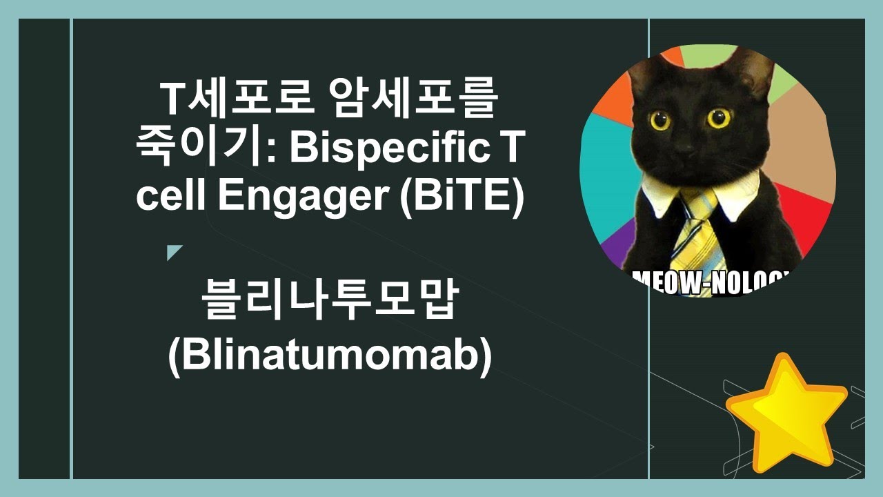 T세포로 암세포 죽이기: Bispecific T-cell Engager (BiTE) 약물, 블리나투모맙 (Blinatumomab ...