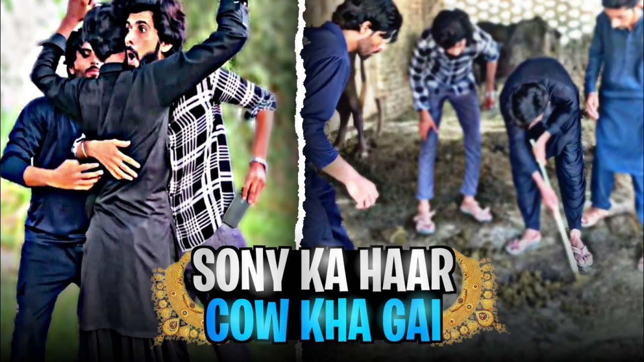 Sonay Ka Haar Cow🐄 Kha Gai😱 #shorts #youtubeshorts #india - YouTube
