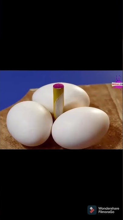 Eggs Vs Firecrackers Expriment In Slow Motion #short - YouTube