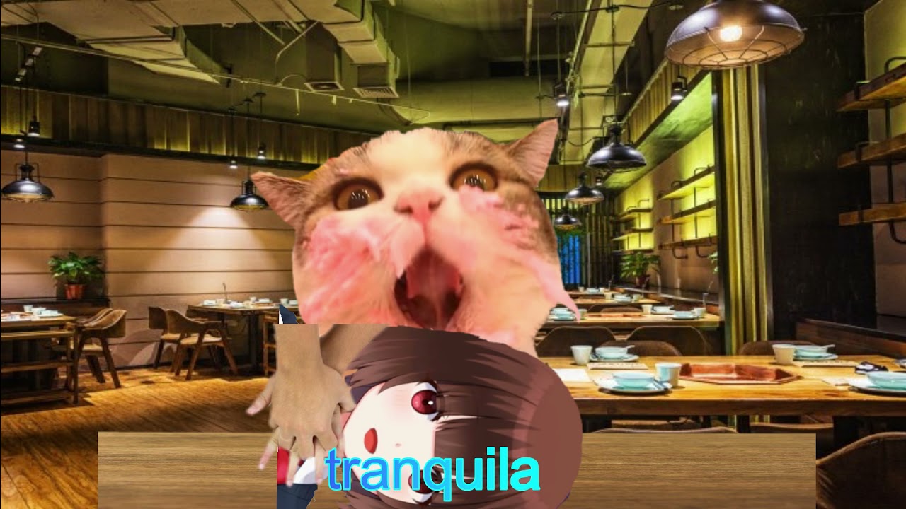 capitan gato salva a star vtuber de una salchipapa - YouTube