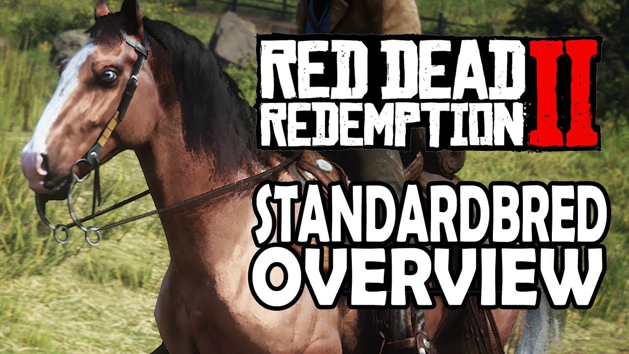 American Standardbred Overview Red Dead Redemption 2 Horses YouTube american-standardbred-overview-red-dead-redemption-2-horses-youtube