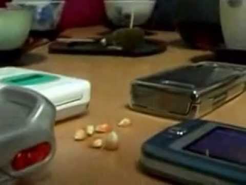 Cep telefonu ile mısır Patlatma