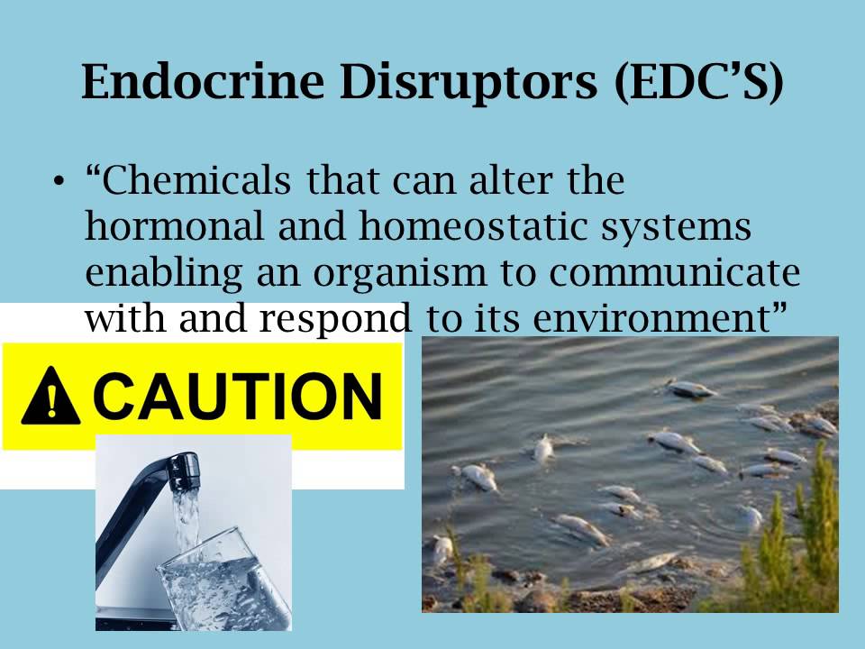 Birth Control and Water Pollution - YouTube