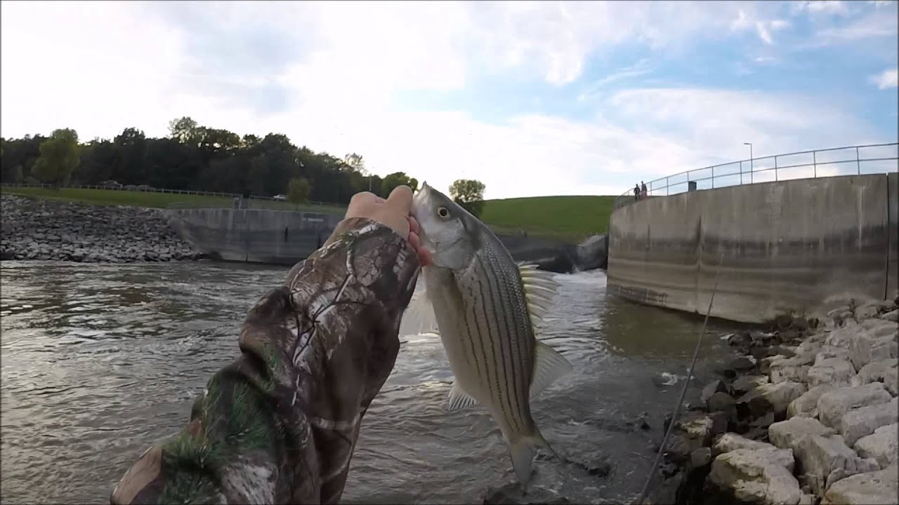 Early Fall Iowa Wiper. - YouTube