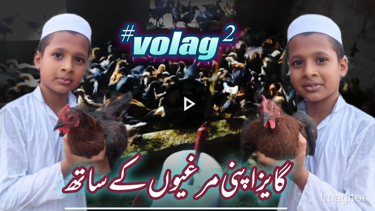 new volag murgiyon ke sath.. #littleboy #volag #vairl - YouTube