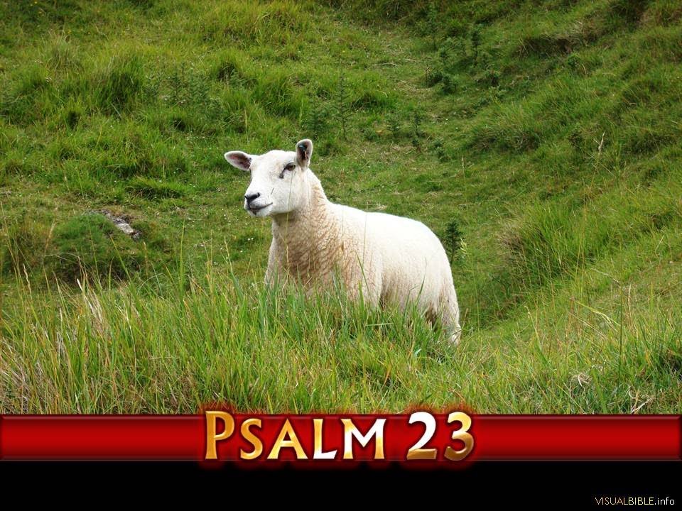 Psalm 23 | Ps 23 | German (2:30min) - YouTube