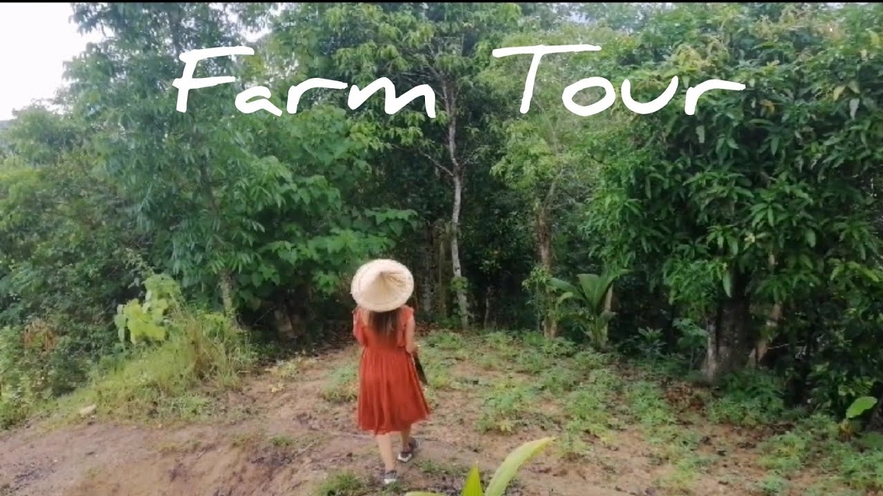 Welcome to my Farm || 1-hectare property|| Leyte - YouTube