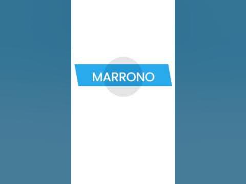 Cool Menu Hover Effect | CSS Tutorial #shorts - YouTube