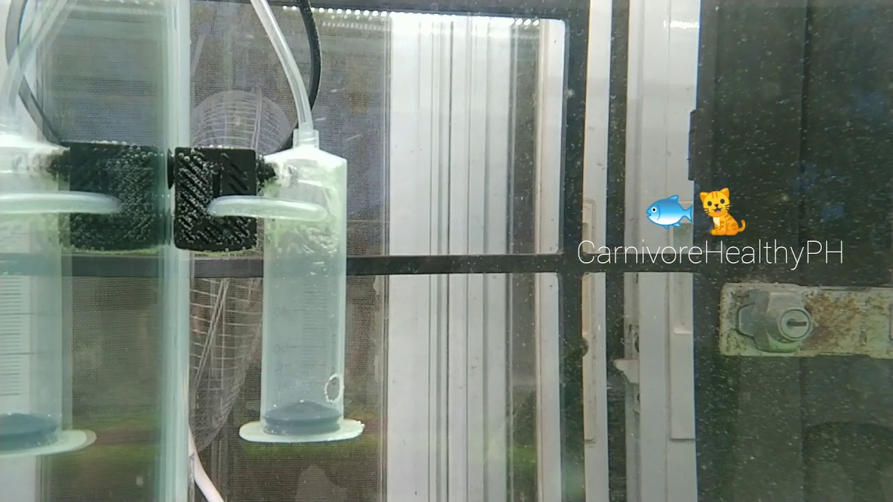 DIY CO2 Reactor - YouTube