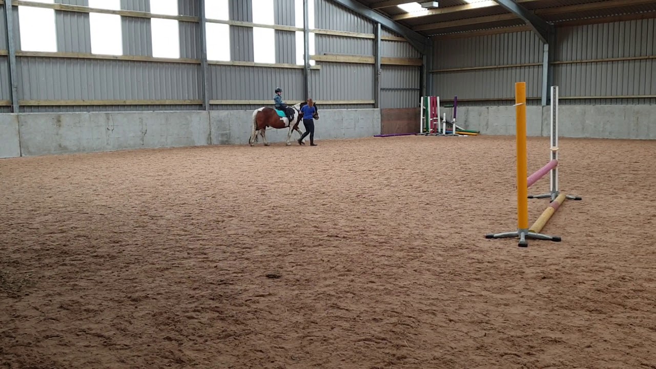 Boydstone stables lochwinnoch - YouTube