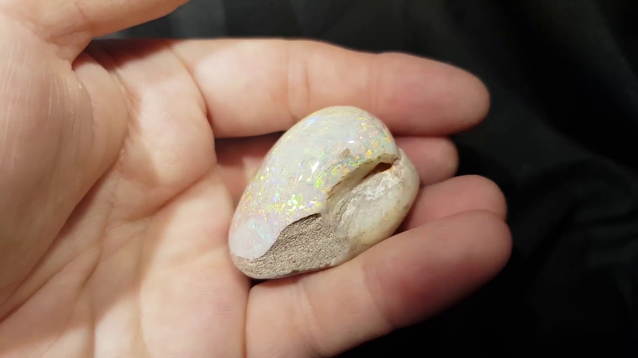 Opalised Mussel Shell Fossil - YouTube