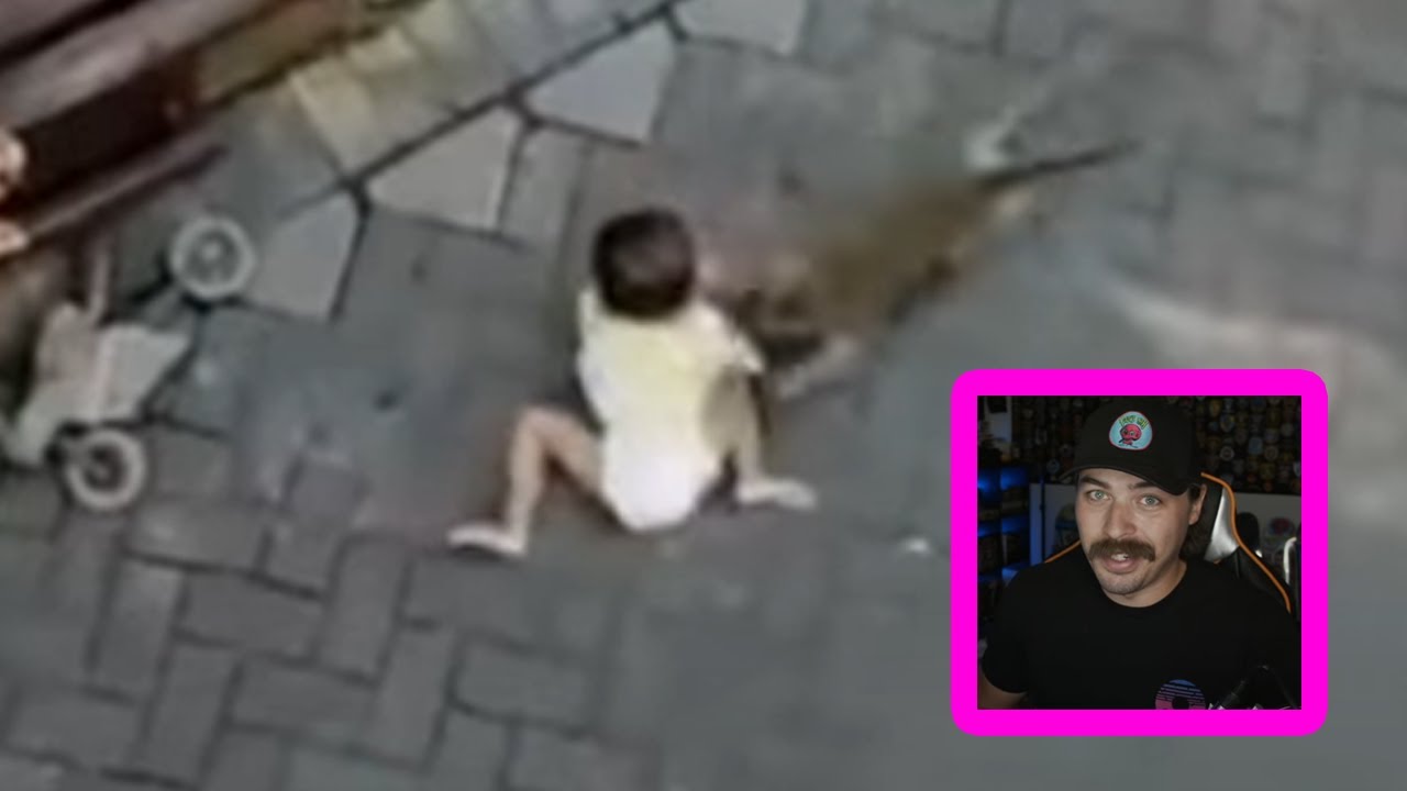 monkey on a motorcycle STEALS BABY - LEO recap - YouTube