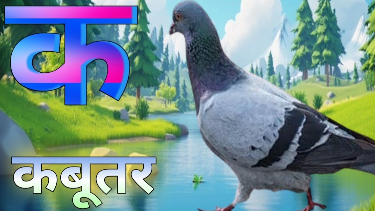 K se kabutar kh se khargosh| Hindi varnmala|क से कबूतर ख से खरगोश |क से ...