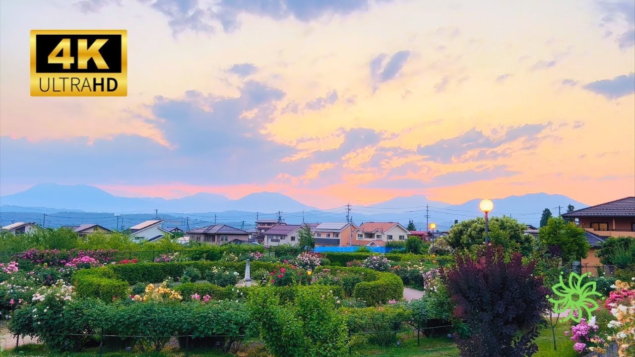 Sunset Serenity | ASMR Relaxing Sunset Views | 4K | Here Comes ...