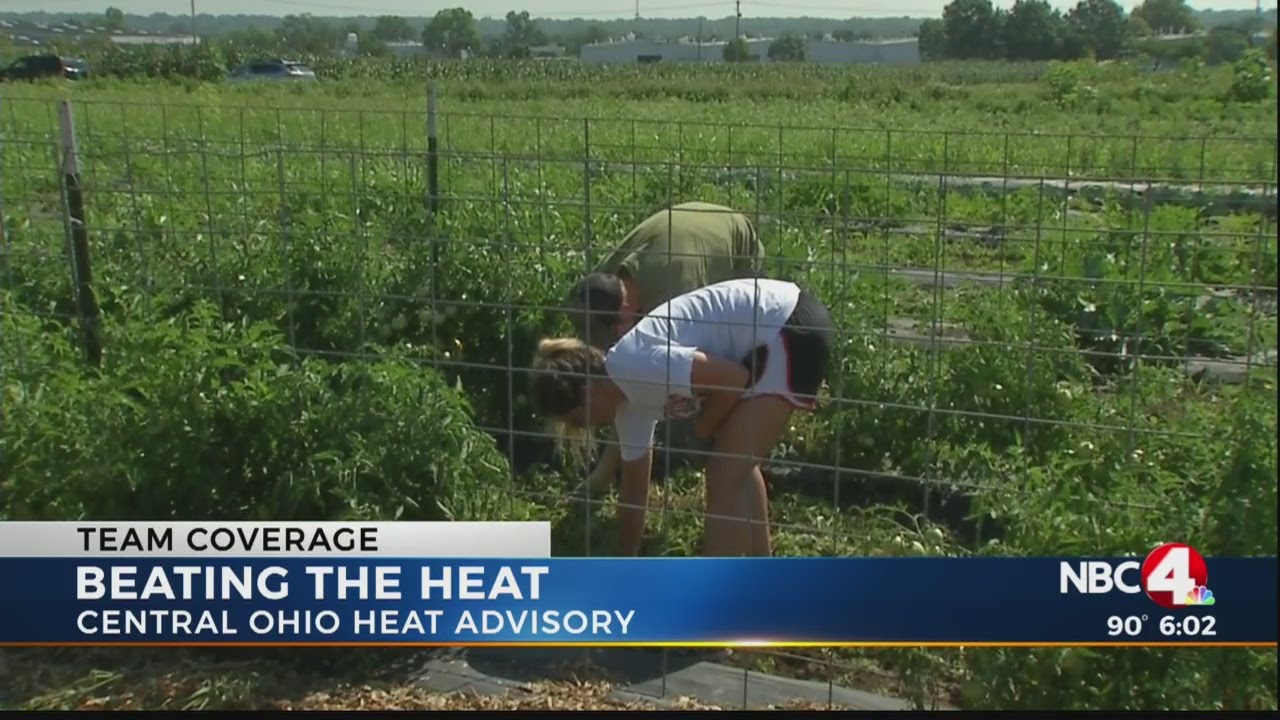 Beating the heat - YouTube