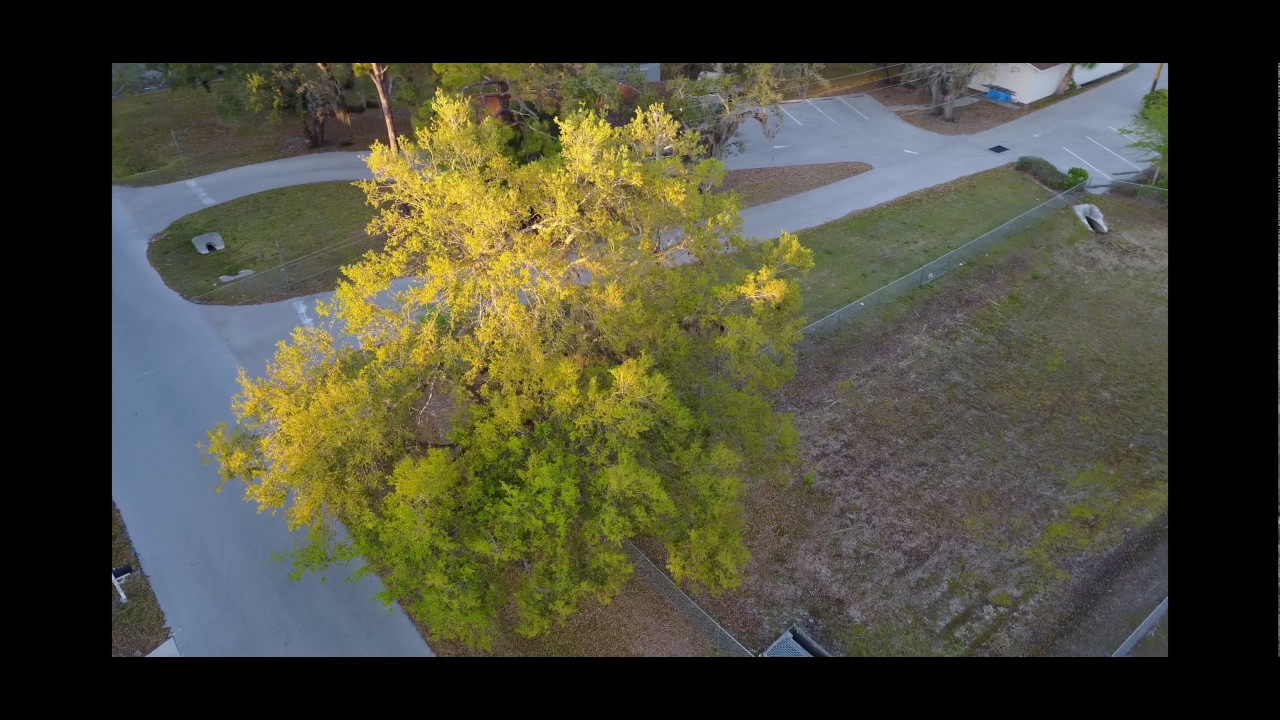4k Export Settings YouTube 4k-export-settings-youtube