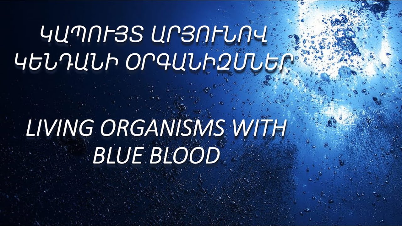 ԿԱՊՈՒՅՏ ԱՐՅՈՒՆՈՎ ԿԵՆԴԱՆԻ ՕՐԳԱՆԻԶՄՆԵՐԸ / LIVING ORGANISMS WITH BLUE ...