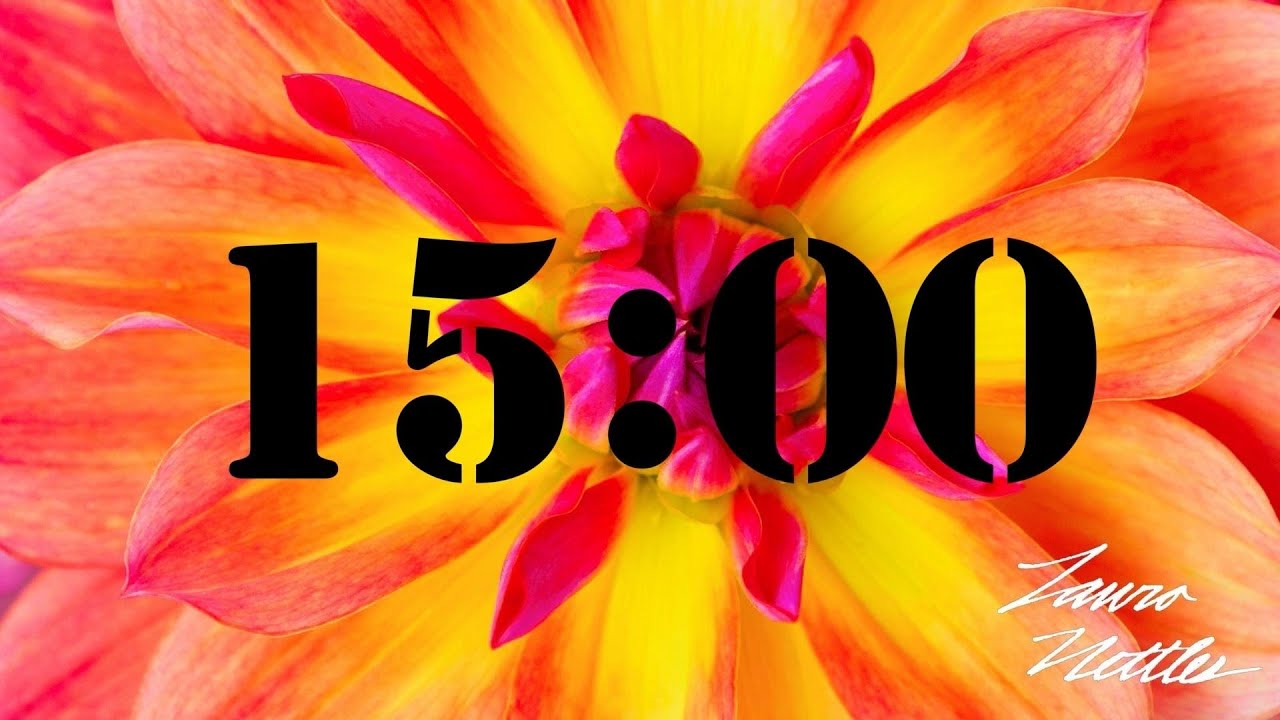 15 Minute Pink and Yellow Flower Timer - YouTube