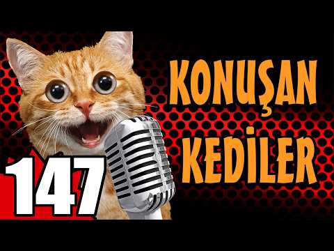 Konuşan Kediler 147 - En Komik Kedi Videoları 