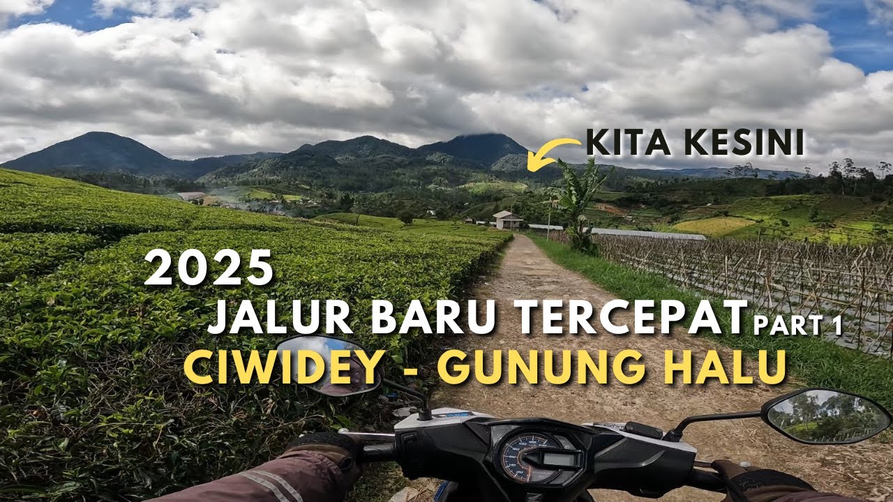 Part 1 Jalur Ciwidey Ke Gunung Halu Via Hutan Tambakruyung Alternatif ...