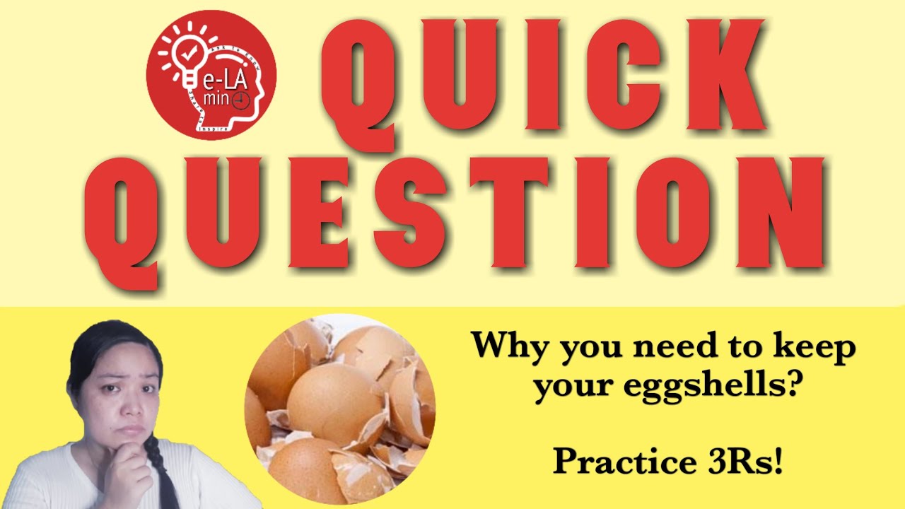 WHAT TO DO WITH EGGSHELLS? | Practice 3Rs | QUICK QUESTION feat. e-LAmin - YouTube Music