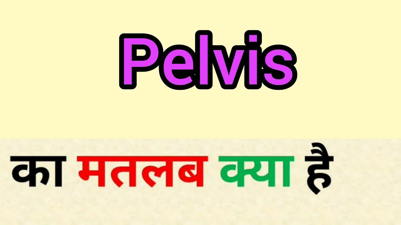 Pelvis Meaning In Hindi Pelvis Ka Matlab Kya Hota Hai Word